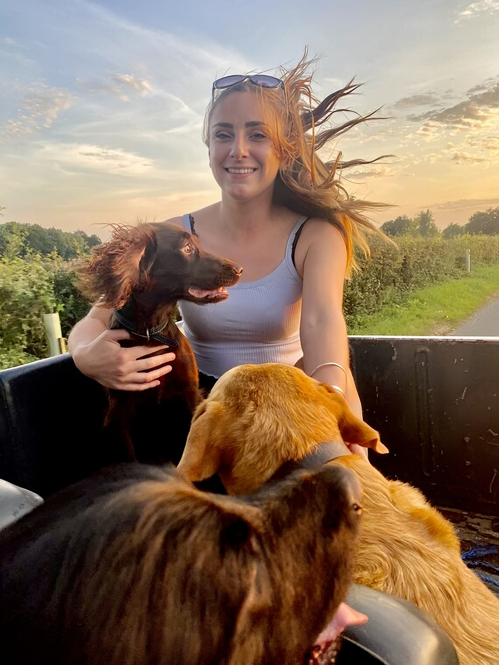 Dog Den | Travel Crate | Dog Box | Crash Tested – Dog Den Products Ltd.